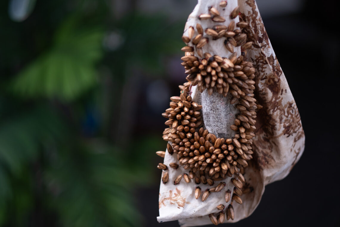 421 Arts Campus Presents Traveling edition of the Arts Festival ...